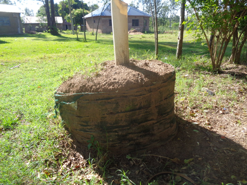 Matungu Vertical micro gardening - Kenya project . - GlobalGiving