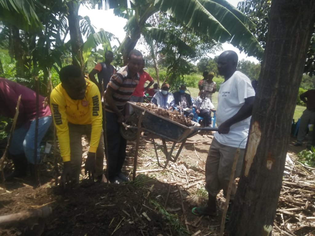 Matungu Vertical micro gardening - Kenya project . - GlobalGiving