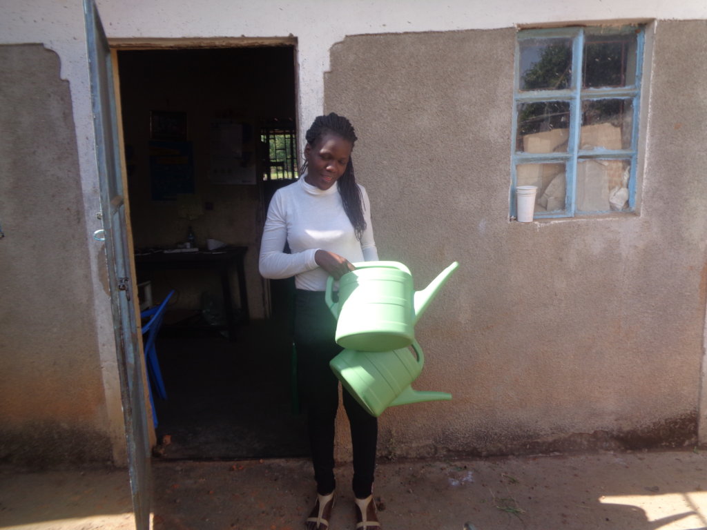 Matungu Vertical micro gardening - Kenya project . - GlobalGiving