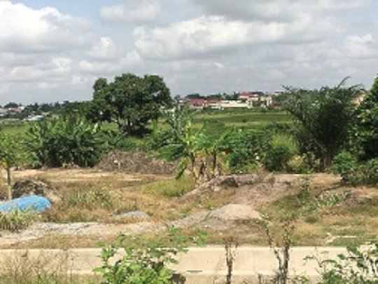 Restoring Riparian Ecosystems in Ghana - GlobalGiving