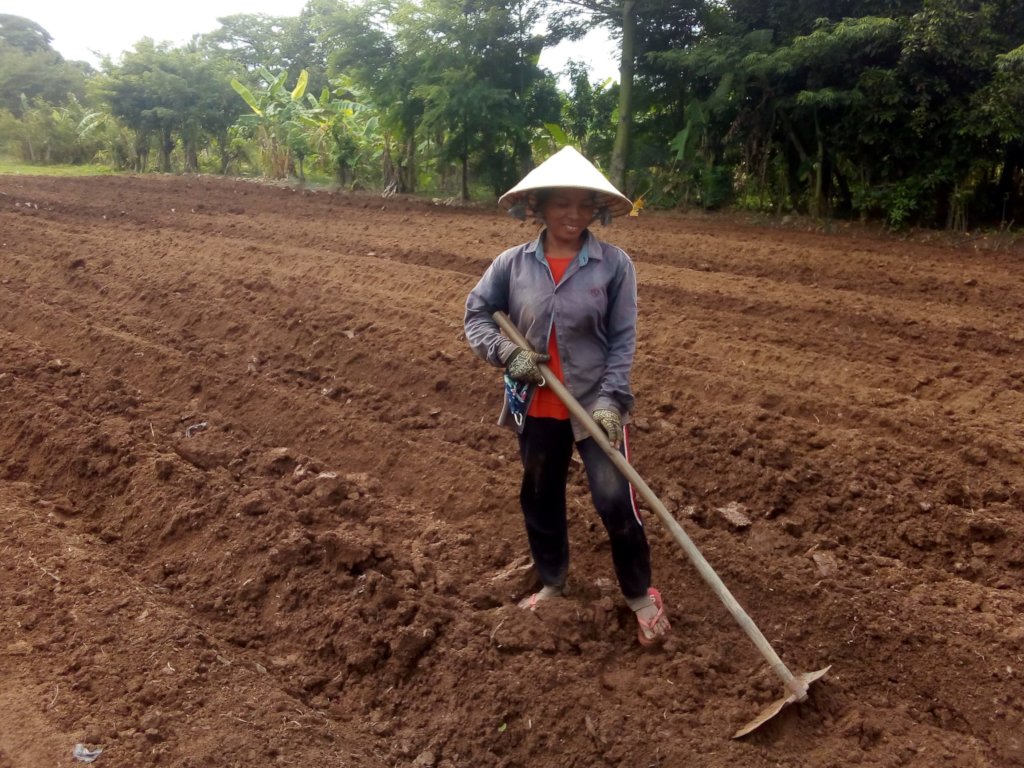 Enhance Food Security for 300 Returned Migrants - GlobalGiving