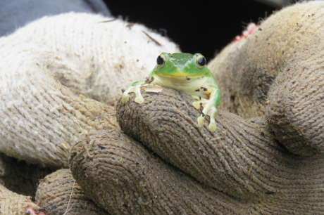 Preserve a home for 400+ species of animals - GlobalGiving