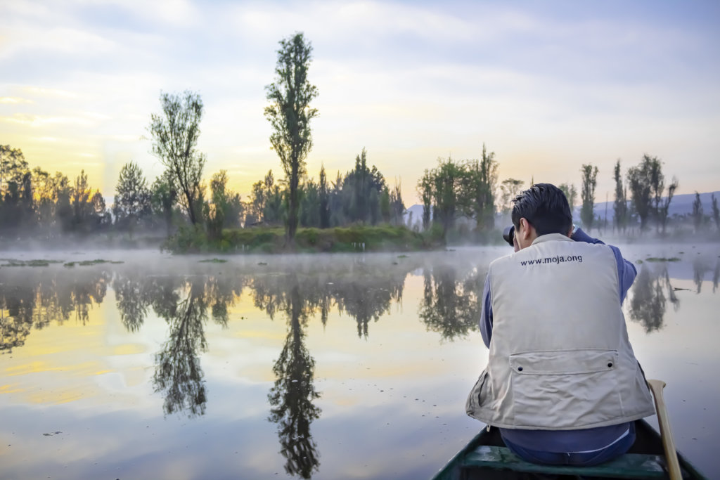 Create a refuge for the Axolotl in Xochimilco. - GlobalGiving