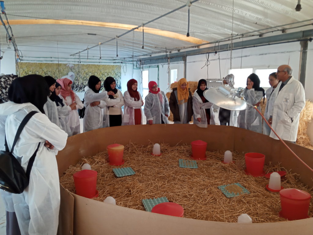 Donate to Help us to stop child labor - GlobalGiving