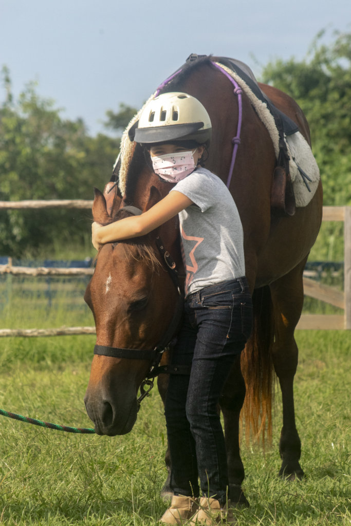 Support 5 Rescued Horses Who Help People in Need - GlobalGiving