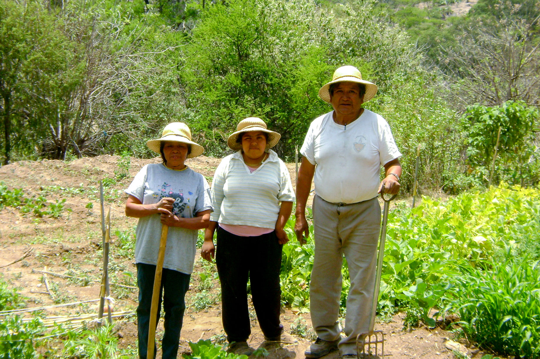 Nourish 25 families in Mexico's mountain ranges - GlobalGiving
