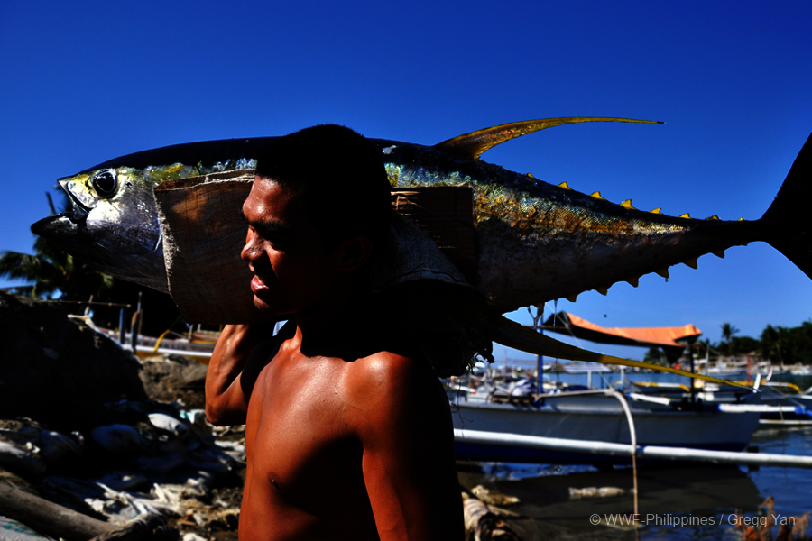 Livelihood for 21 fishing communities in the PH - GlobalGiving