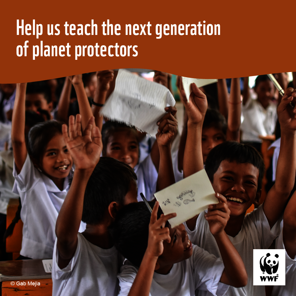 Environmental Education for Filipino Children - GlobalGiving