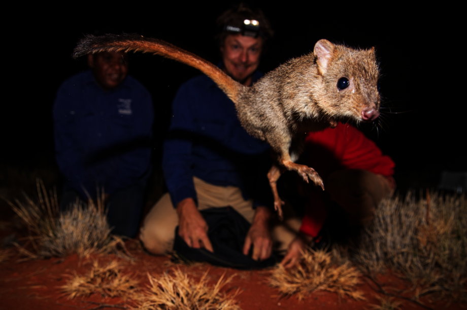 Rewilding Australia - GlobalGiving