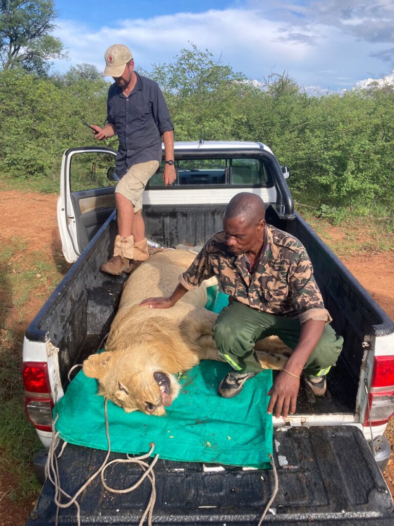 Dedicated wildlife rescue vehicle - GlobalGiving