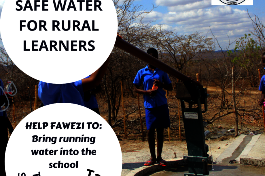 Complete safewater project for 168 rural learners - GlobalGiving