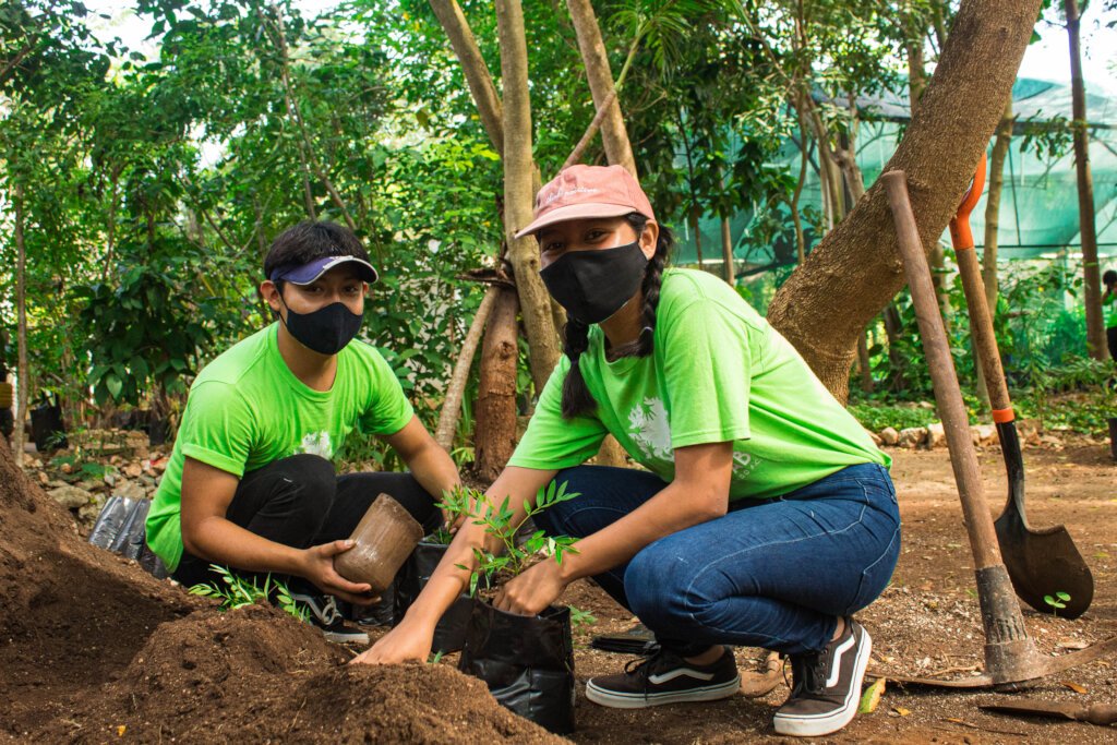 Support Kanan Kab to plant 25,000 trees in Yucatan - GlobalGiving