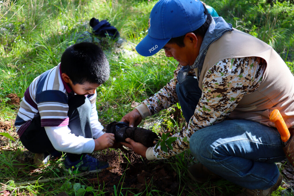 Planting trees for people and birds - GlobalGiving