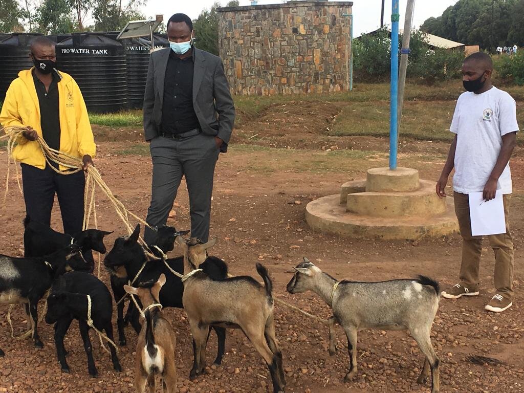 Goat farming project in Burega village, Rwanda - GlobalGiving