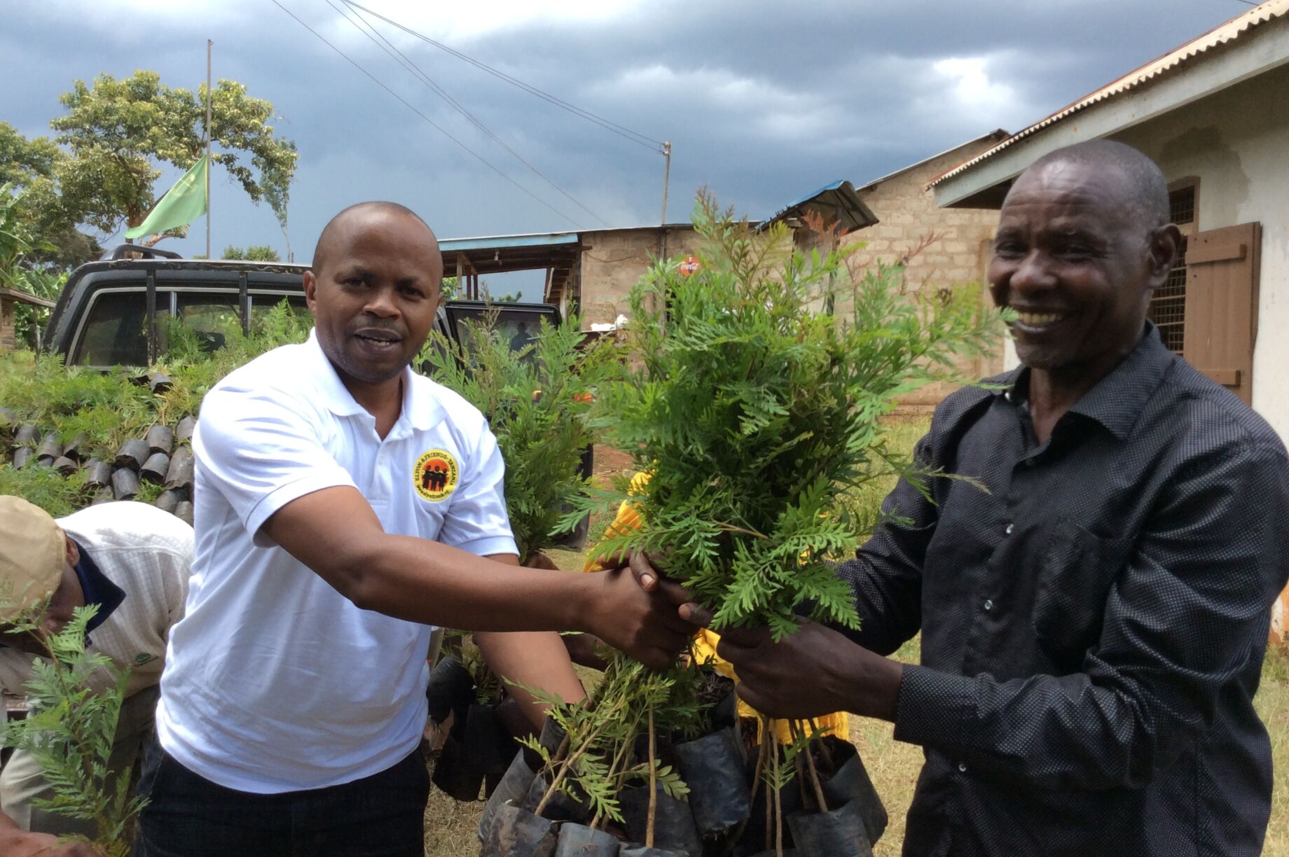 Tree Planting - GlobalGiving