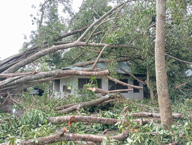 Typhoon Odette (Rai) Response in the Philippines - GlobalGiving