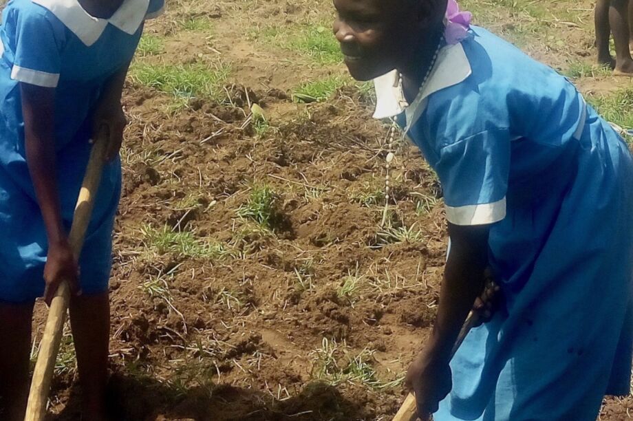 Fields for Greens - GlobalGiving