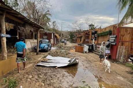 Aid for the recovery of the Oaxacan coast - GlobalGiving