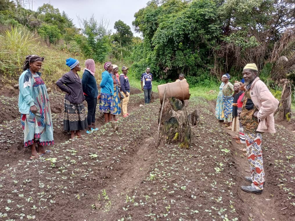 Improve Food Security for 250 Families in Kumbo. - GlobalGiving