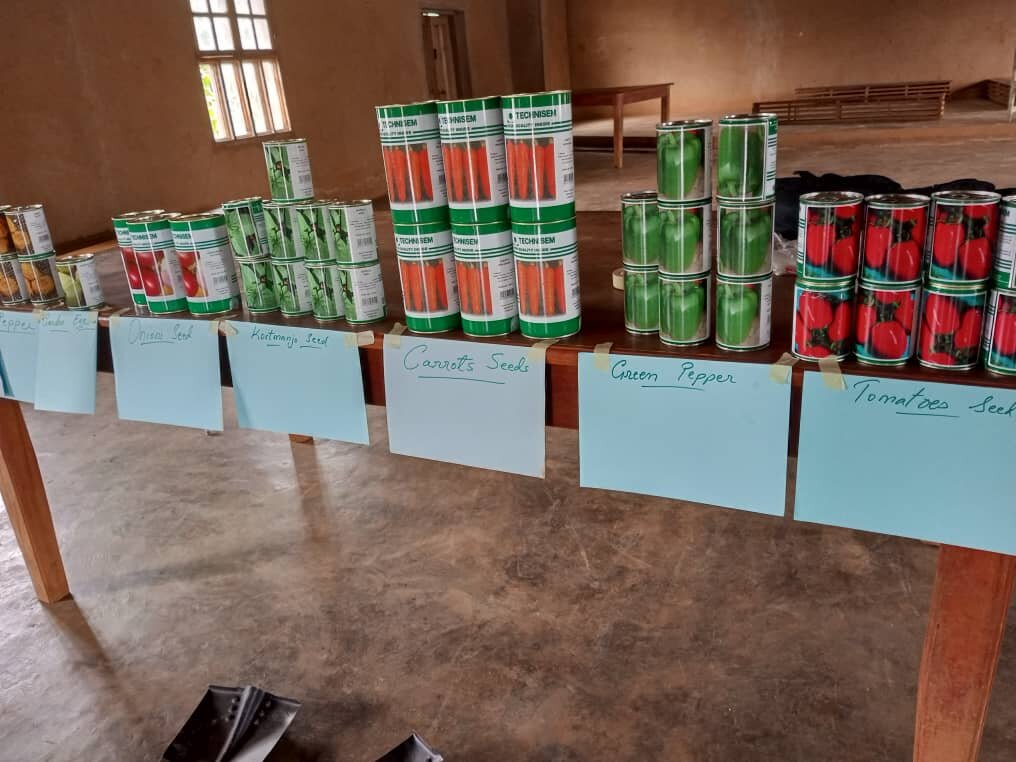 Improve Food Security for 250 Families in Kumbo. - GlobalGiving