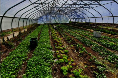 Build a US Water House at Beaverland Farms! - GlobalGiving