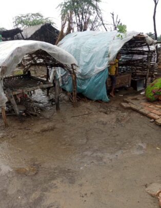 Flood Affectees in Sindh-2022 - GlobalGiving