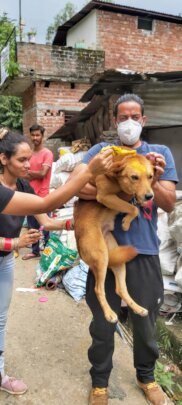 Prevent Rabies Deaths with Vaccination in India - GlobalGiving