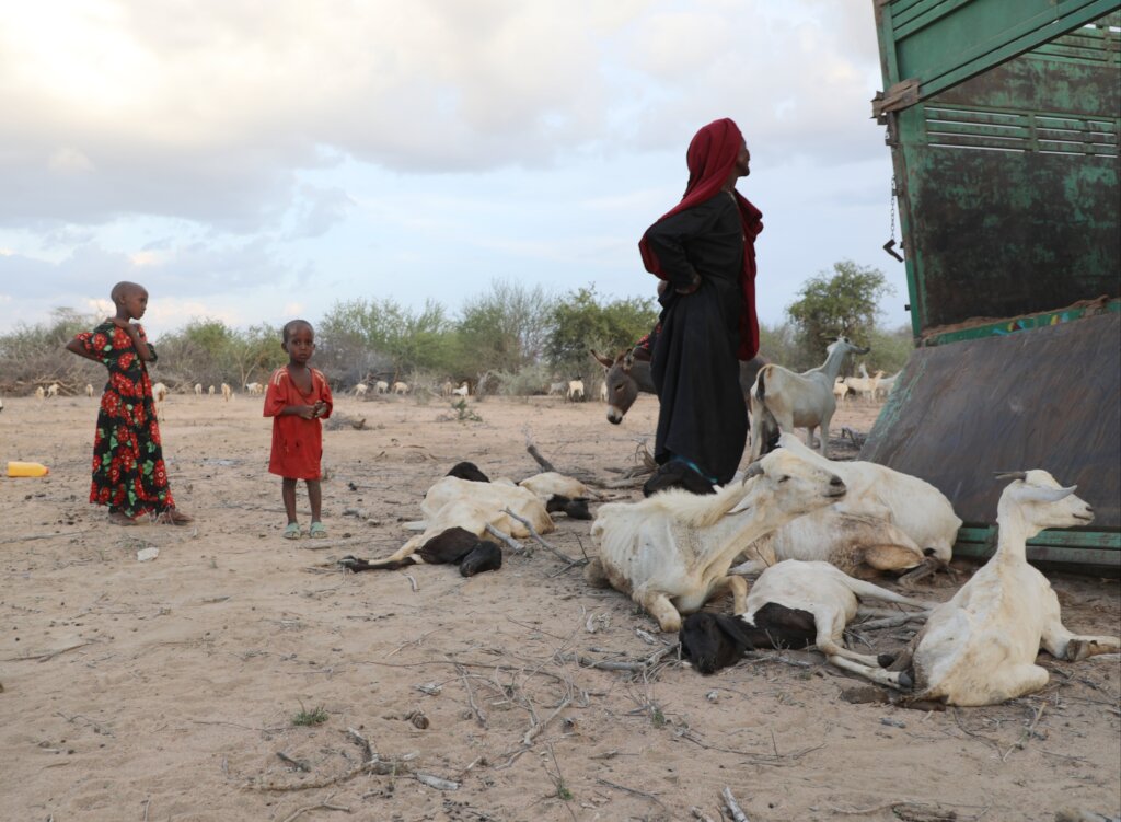 Donate to Global Hunger Crisis - GlobalGiving