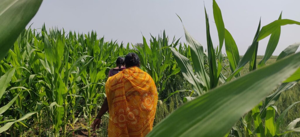 Skilling Rural Women to Earn an Income - GlobalGiving