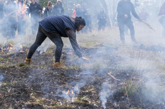 Empower Aboriginal Women through Cultural Burning - GlobalGiving