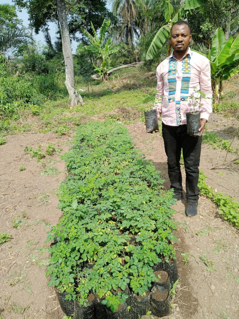 Plant 25000 Agroforestry Trees in Foumban. - GlobalGiving