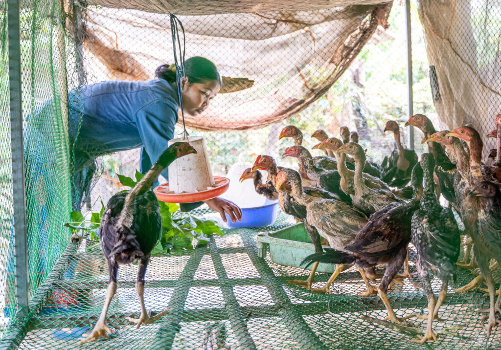 Build a small business for families in Cambodia - GlobalGiving