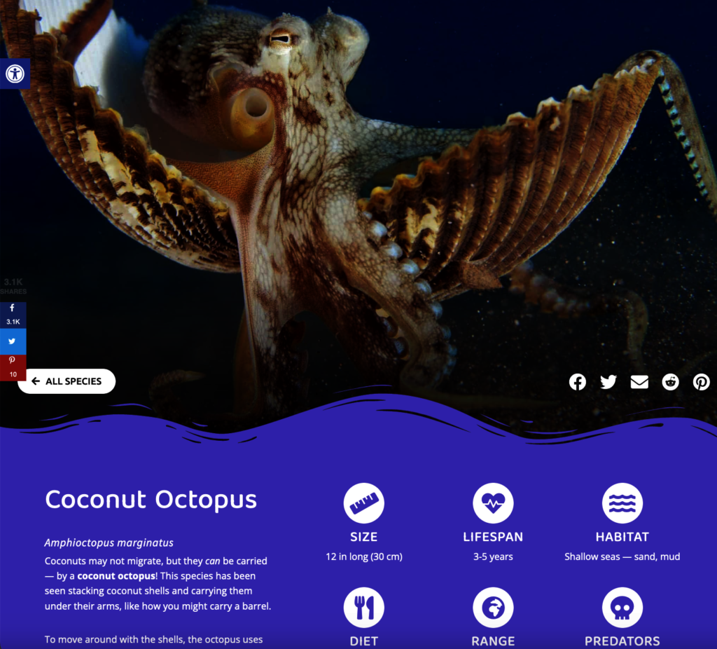 Ocean Conservation through the eyes of the Octopus - GlobalGiving