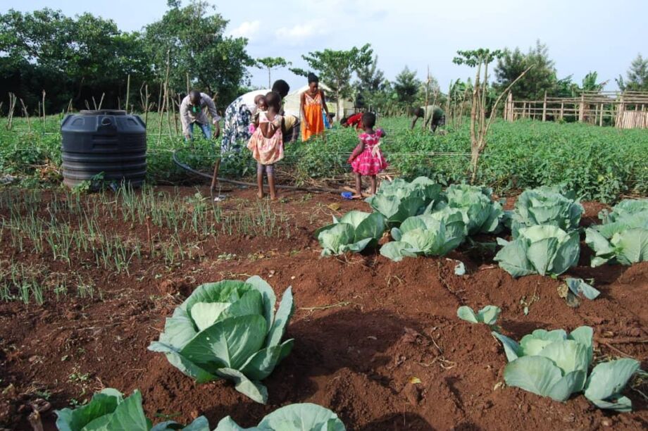 Support food security & Livelihood of 1000 Ugandan - GlobalGiving