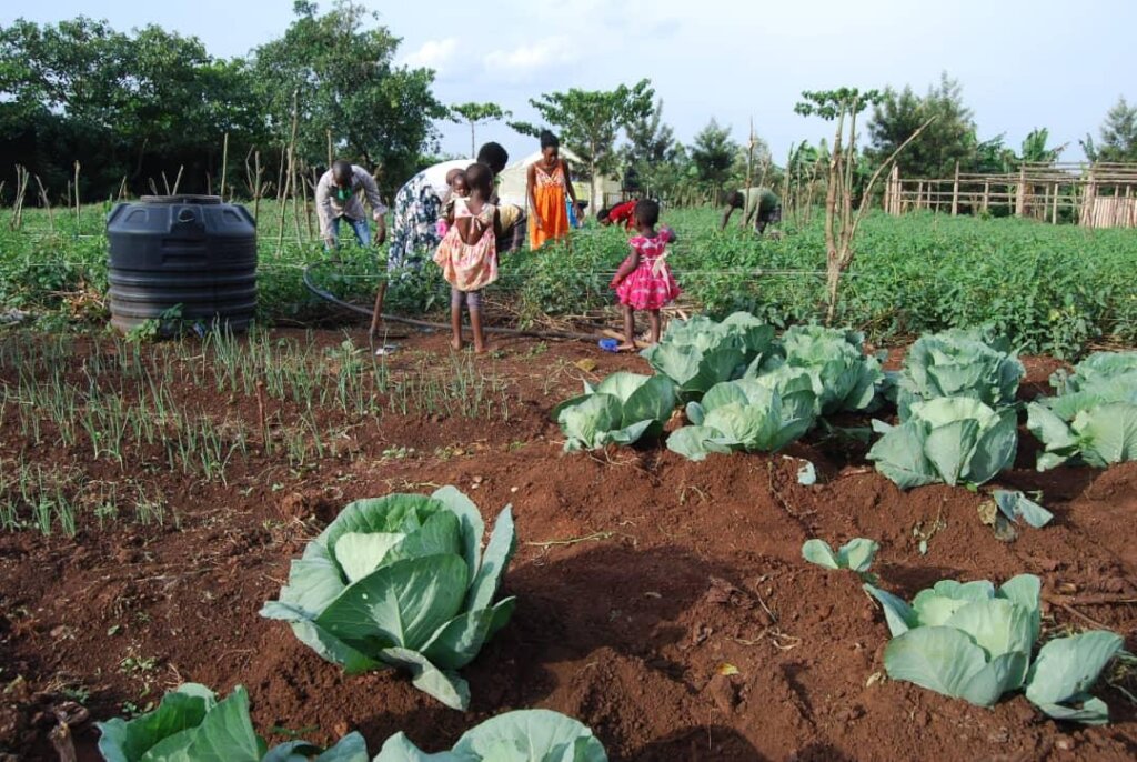 Donate to Support food security & Livelihood of 1000 Ugandan - GlobalGiving