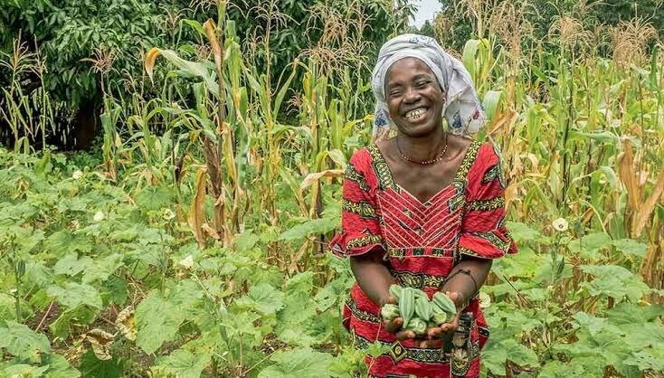 Building secure Livelihoods - GlobalGiving