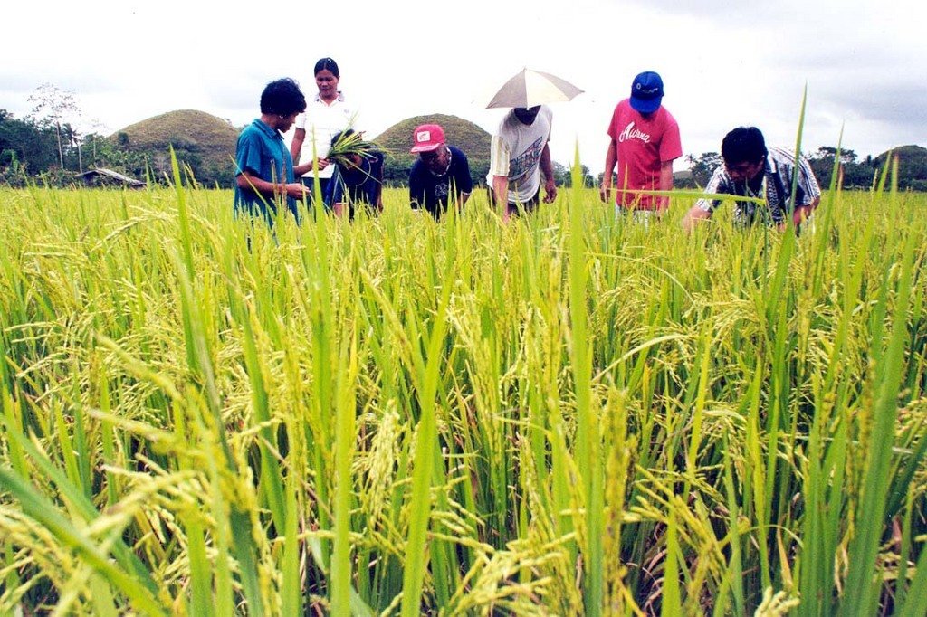 Build minidams for 100 poor farmers in Philippines - GlobalGiving