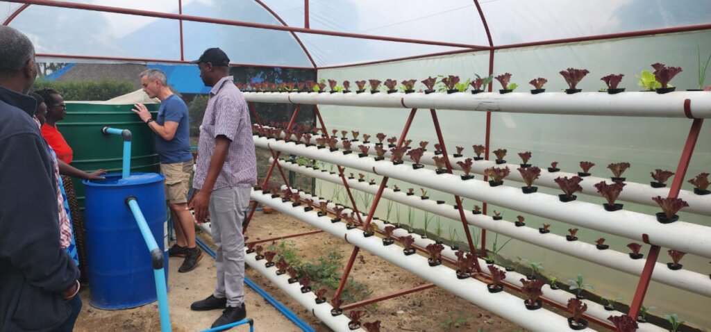 Innovative Solar Power for Zimbabwe - GlobalGiving