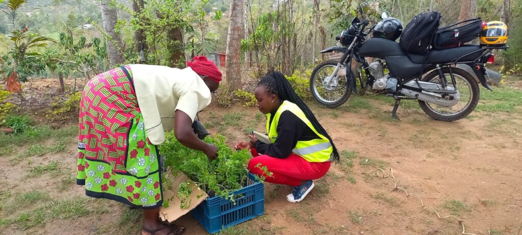 The Seed of Life Provides Hope & Feed Hunger - GlobalGiving