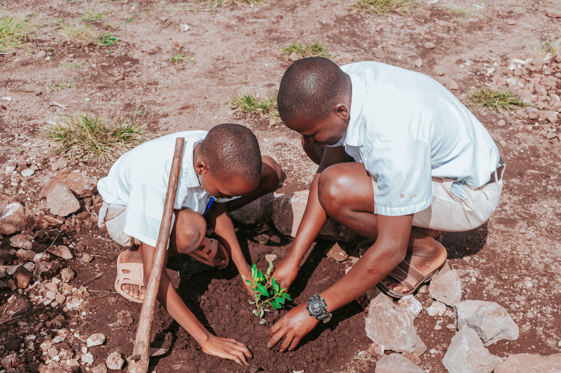 Clean Water & Food Forest for 300+ Kenyan children - GlobalGiving