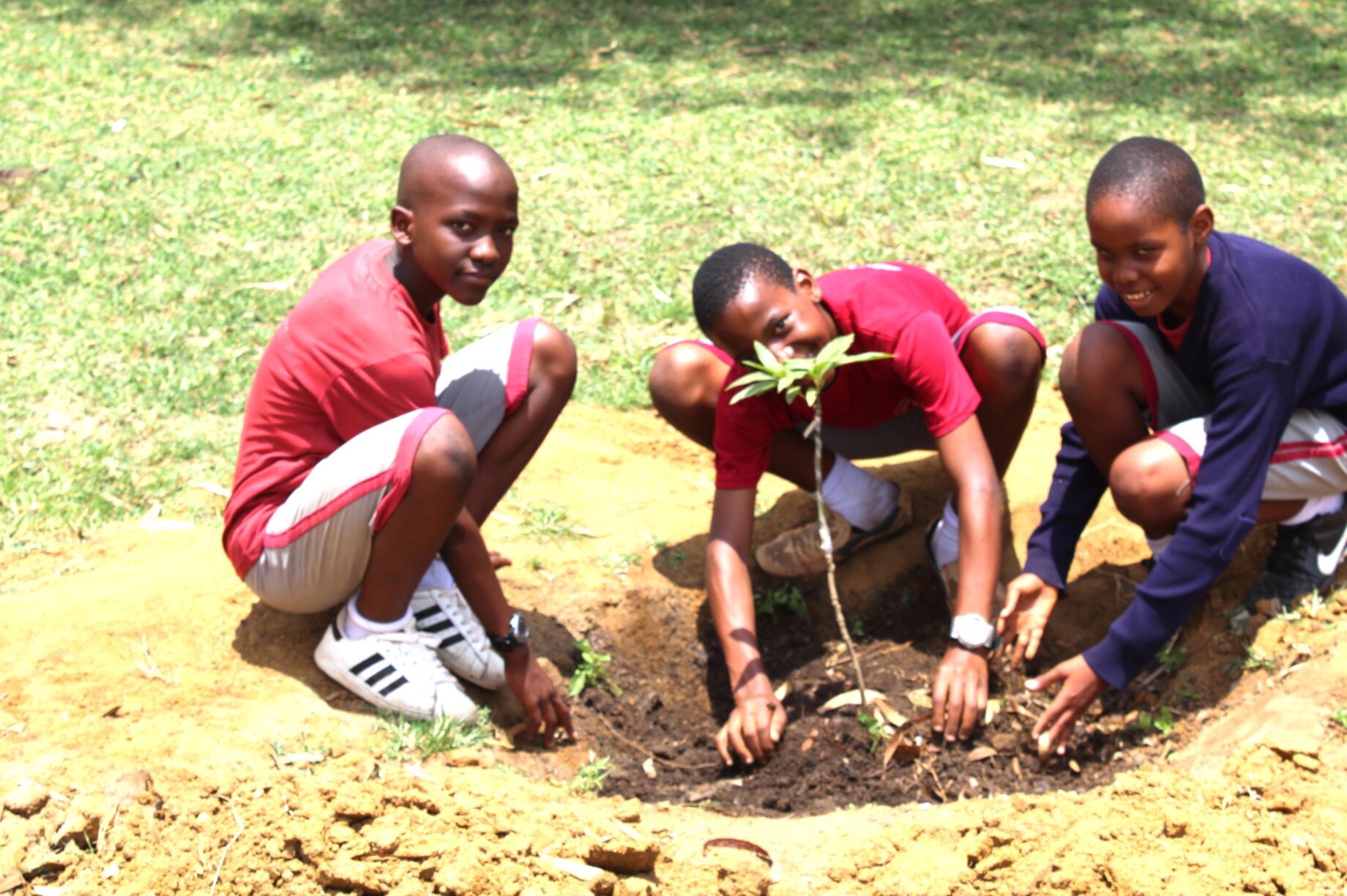 Birthday Tree Planting Project - GlobalGiving