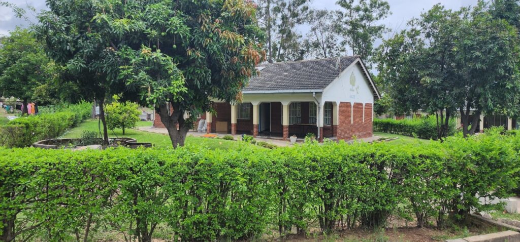 Giving Orphan Children a Home and Hope in Zimbabwe - GlobalGiving