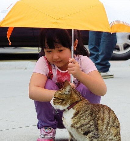 Education to nurture kindness in Chinese children - GlobalGiving