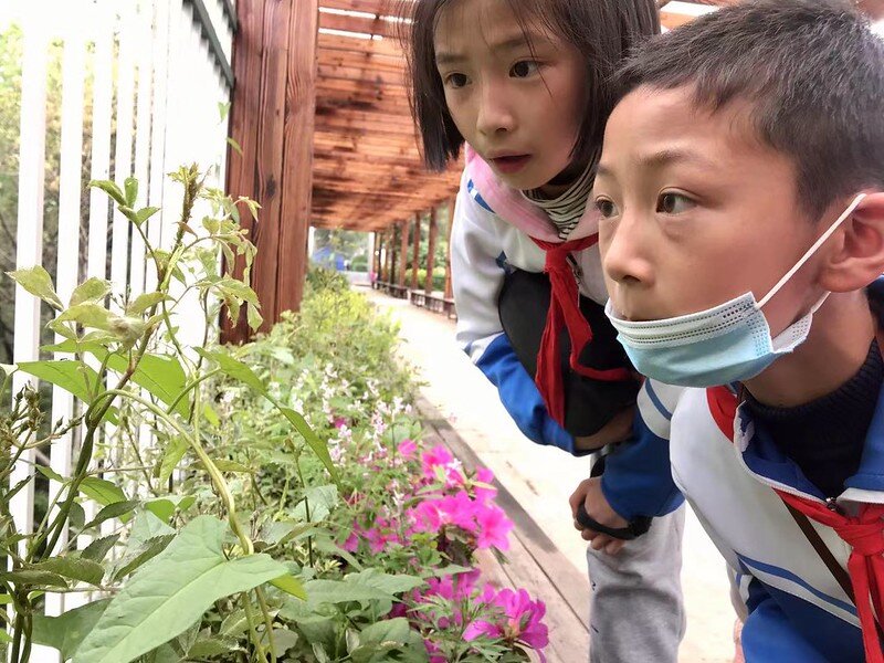 Education to nurture kindness in Chinese children - GlobalGiving