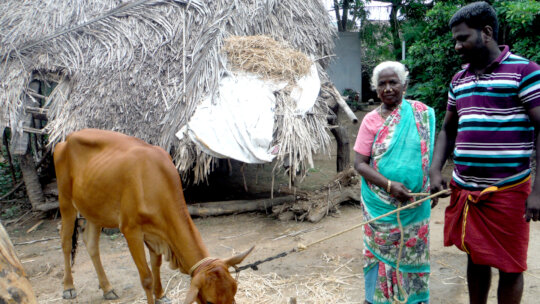 Empowerment of Dalit Women in India - GlobalGiving