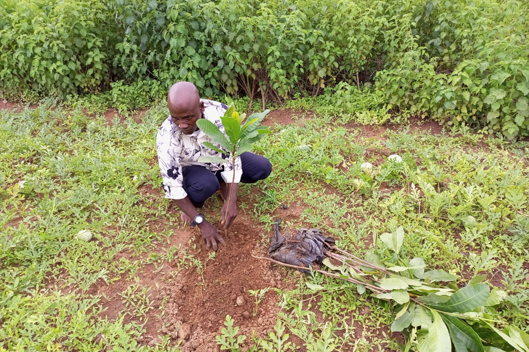 ANNUAL COMMUNITY TREE PLANTING FOR LIVELIHOODS - GlobalGiving