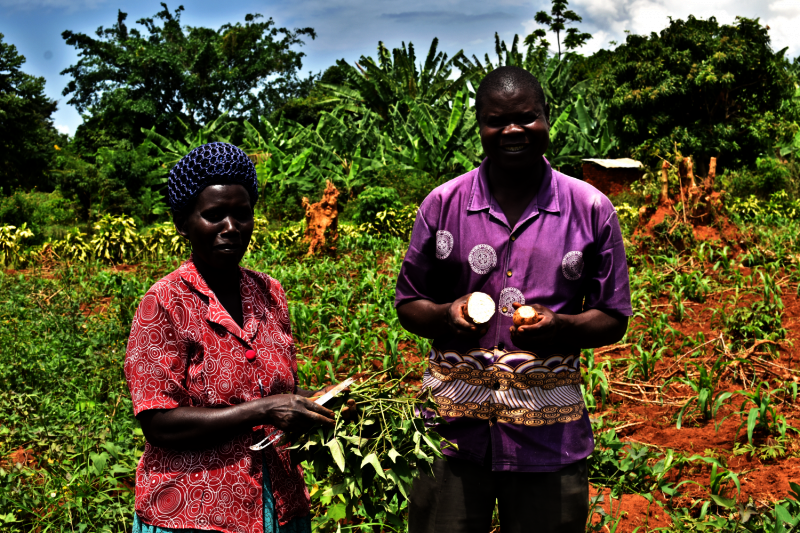 Help Families Grow their Own Food in Rural Uganda - GlobalGiving