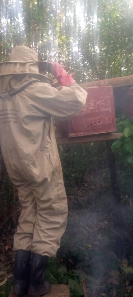 Queen Elizabeth Bee Keepers Association - GlobalGiving