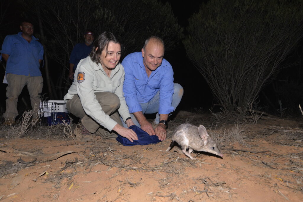 Support wildlife translocations across Australia - GlobalGiving