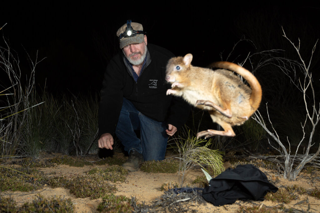 Support wildlife translocations across Australia - GlobalGiving